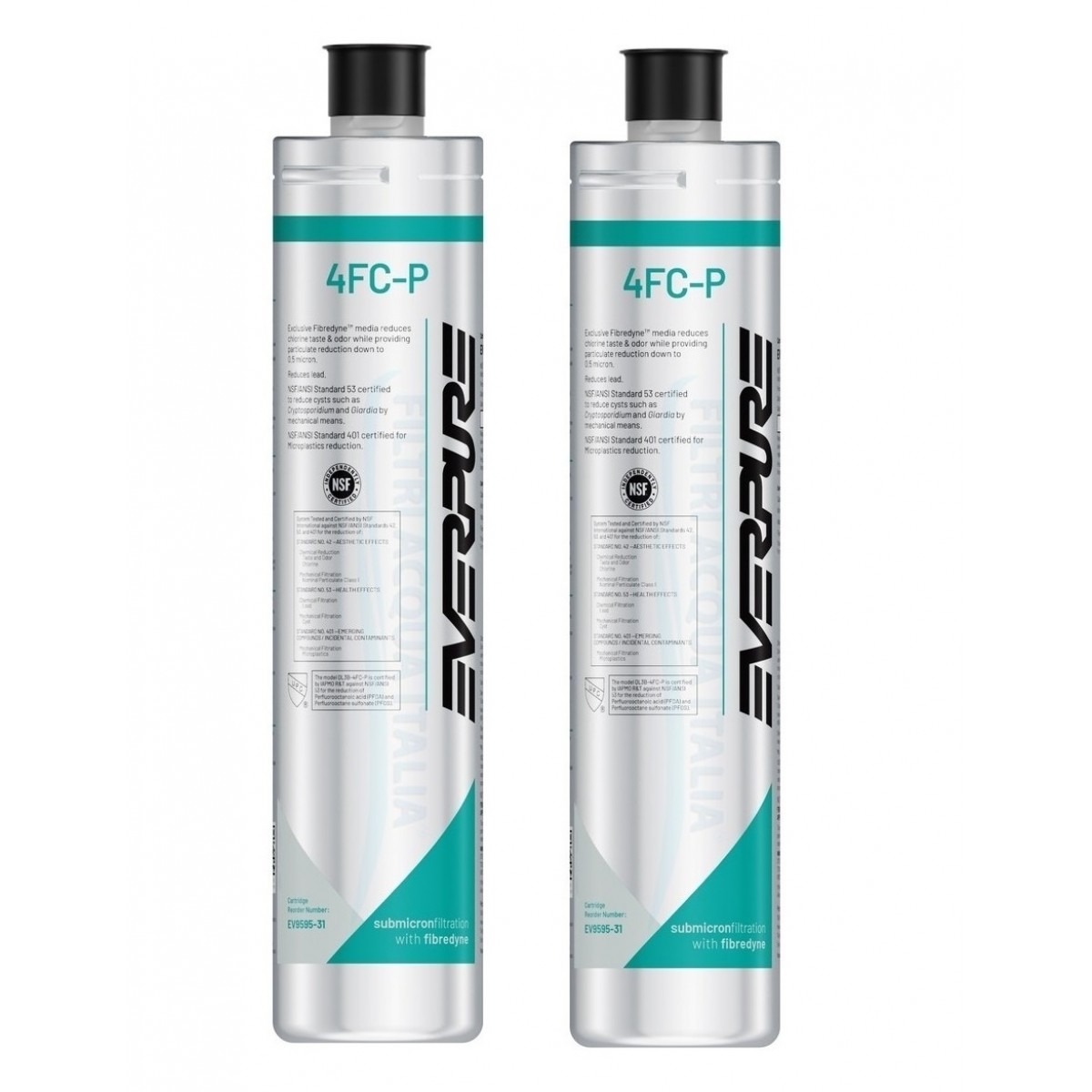 Filtri Everpure 4C, AC, 4DC, 2DC e S100 | Filtri Acqua Italia